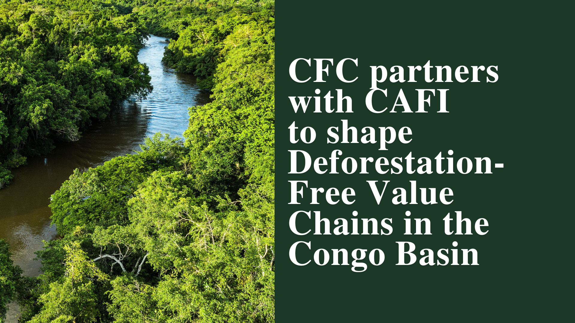 CFC partners with CAFI to shape Deforestation-Free Value Chains in the Congo Basin | Common Fund ...